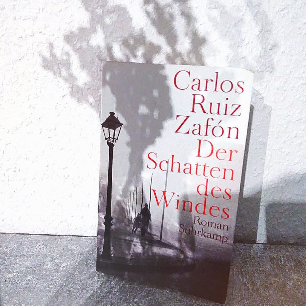 Der Schatten des Windes - Seitenhieb